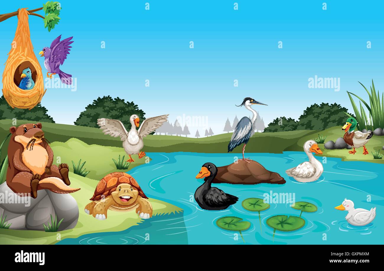 Many animals living by the pond illustration Stock Vector Image & Art ...