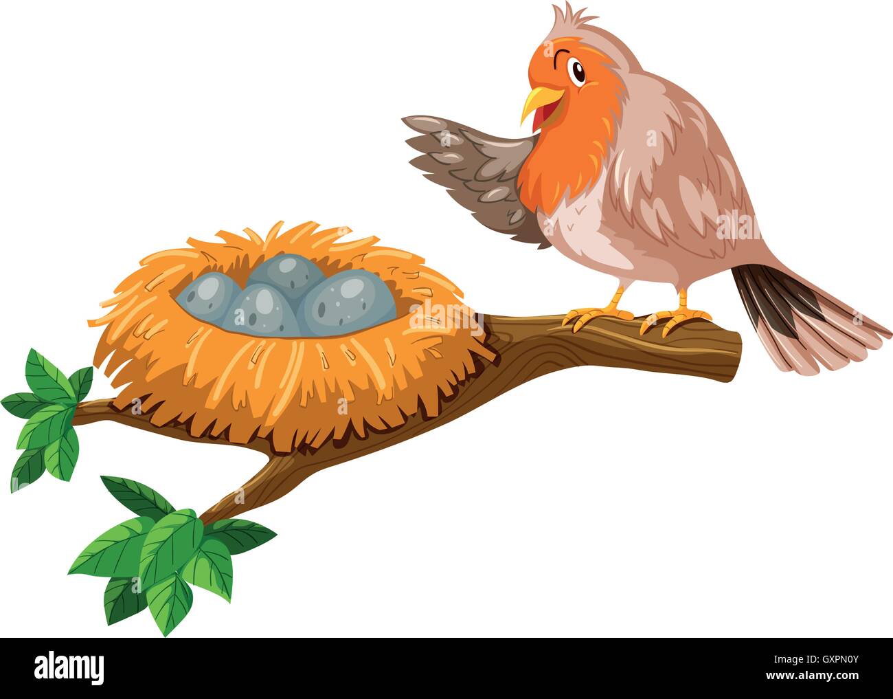 Bird and the eggs in the nest illustration Stock Vector Image & Art - Alamy