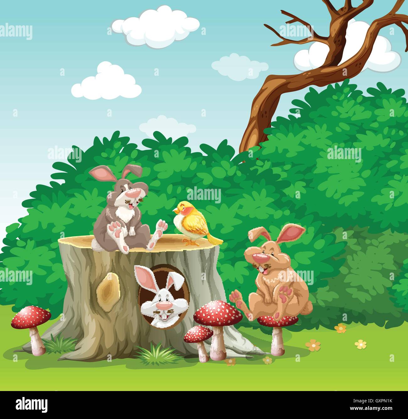 Rabbit grass park Stock Vector Images - Alamy