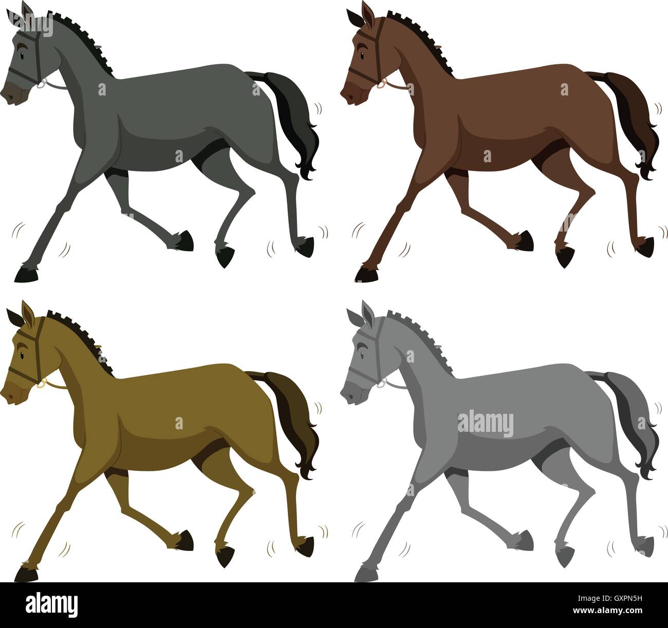Four horse Stock Vector Images - Alamy