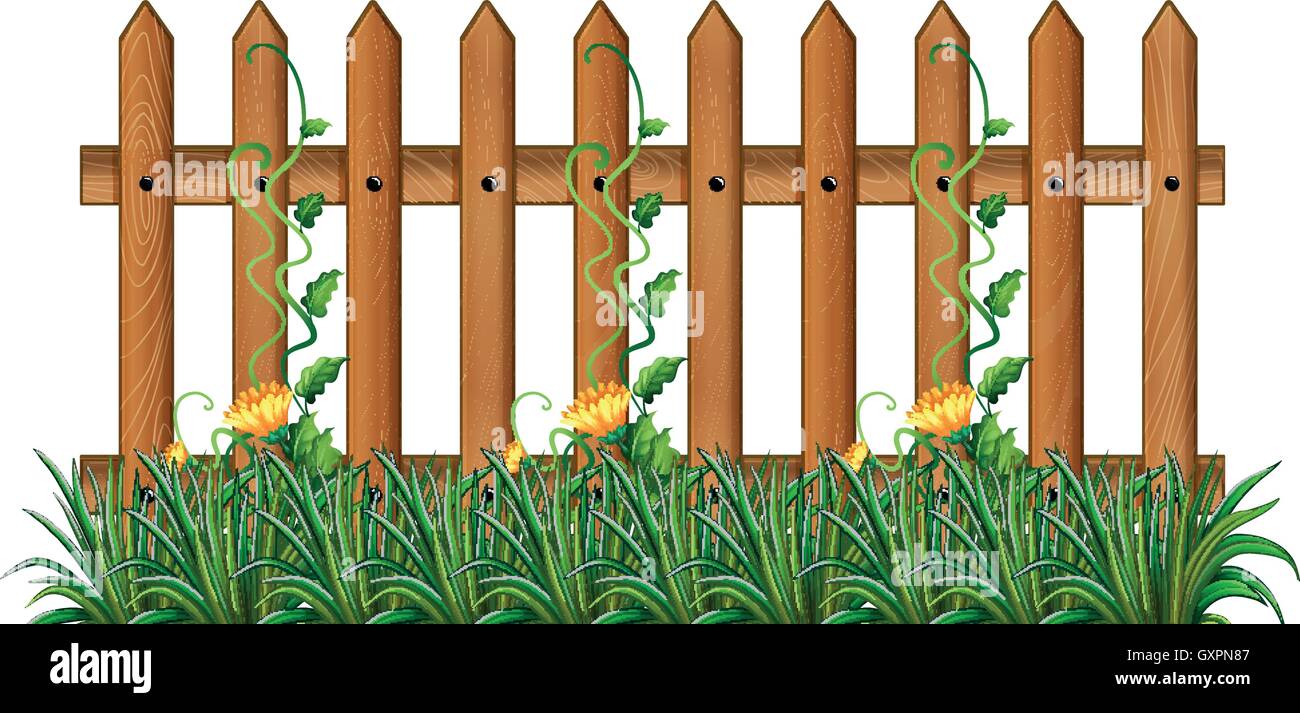 Vine and fence Stock Vector Images - Alamy