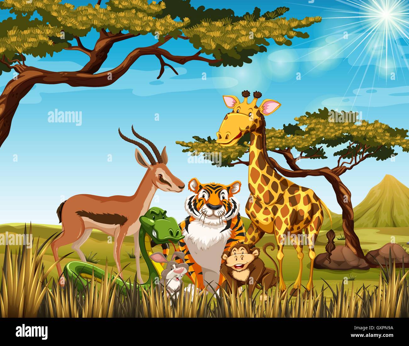 Wild animals in the savanna field illustration Stock Vector Image & Art ...