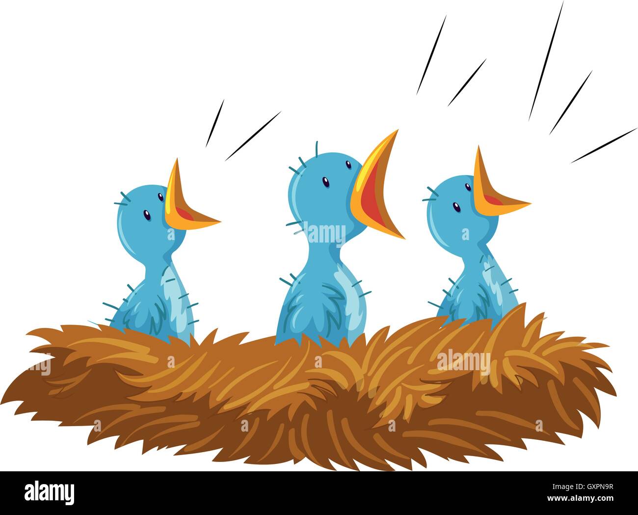 Three baby birds in nest illustration Stock Vector Image & Art - Alamy