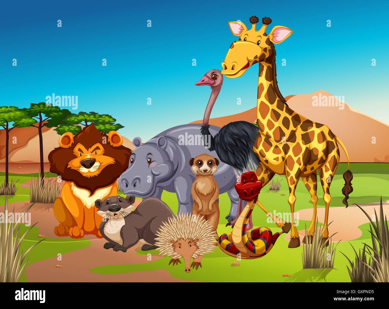 Grass Savanna Stock Vector Images - Alamy