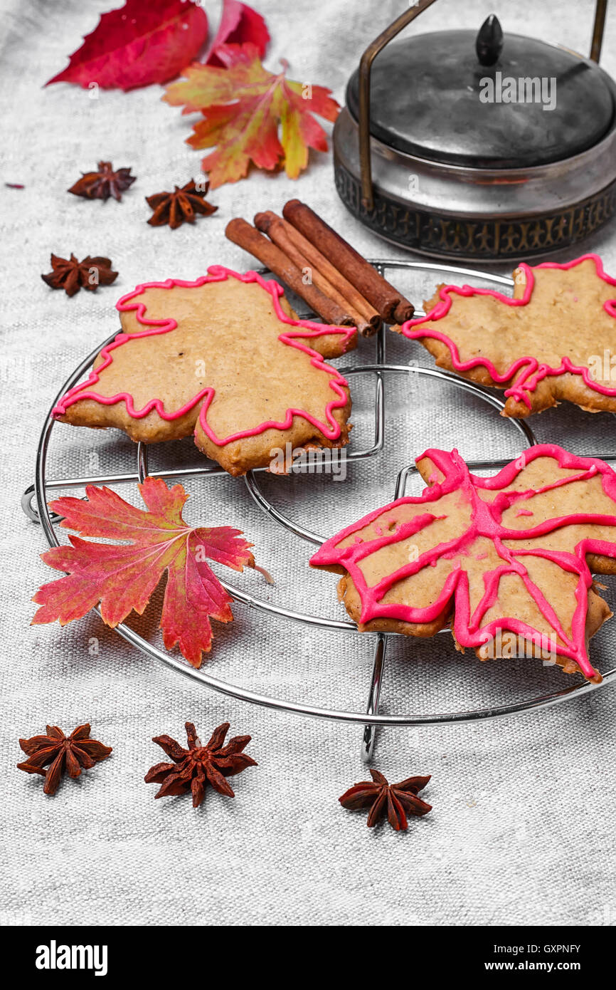 Cookies in the shape of maple autumn leaf in the autumn still life ...