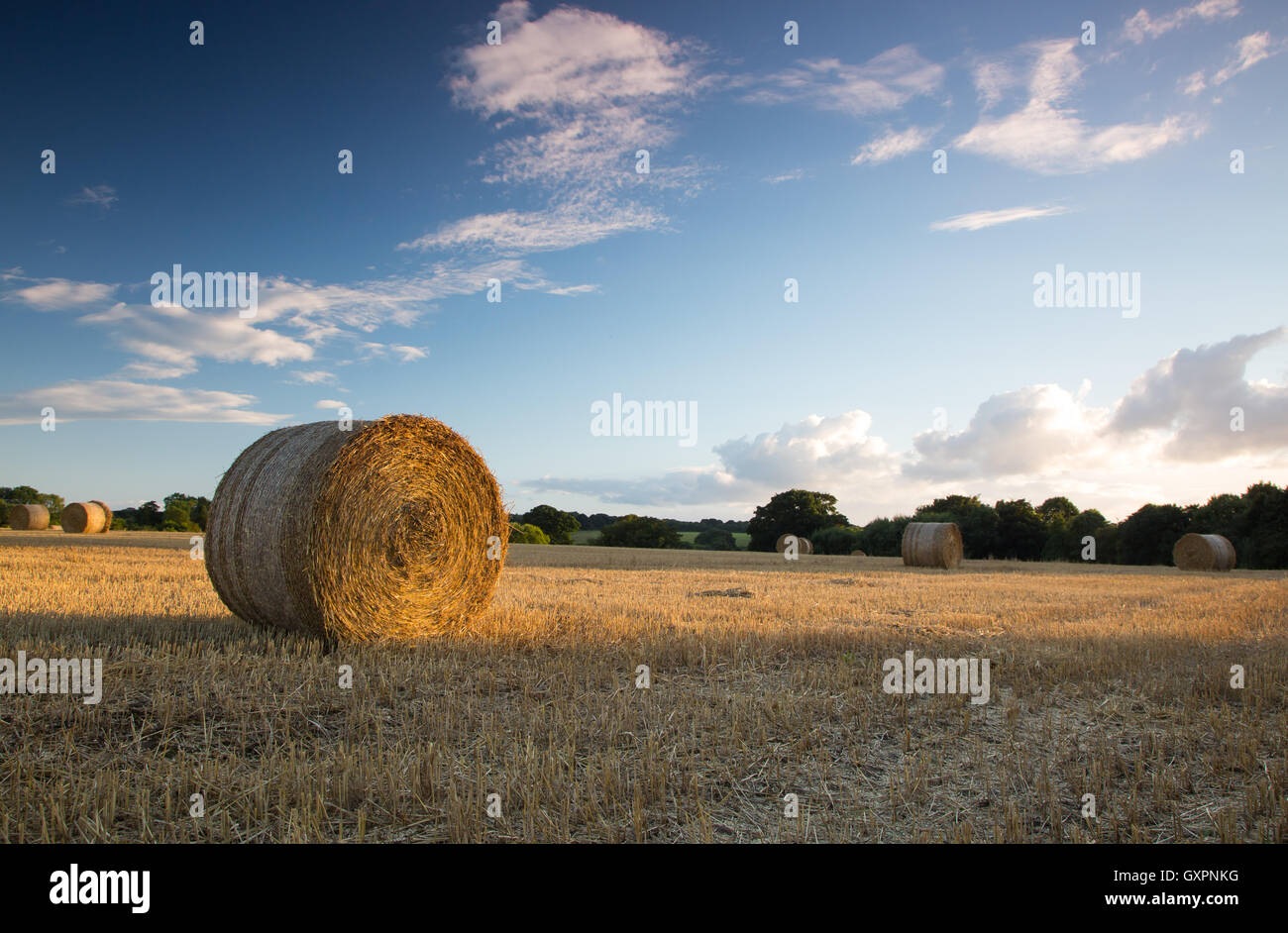Hay bales cheshire hi-res stock photography and images - Alamy