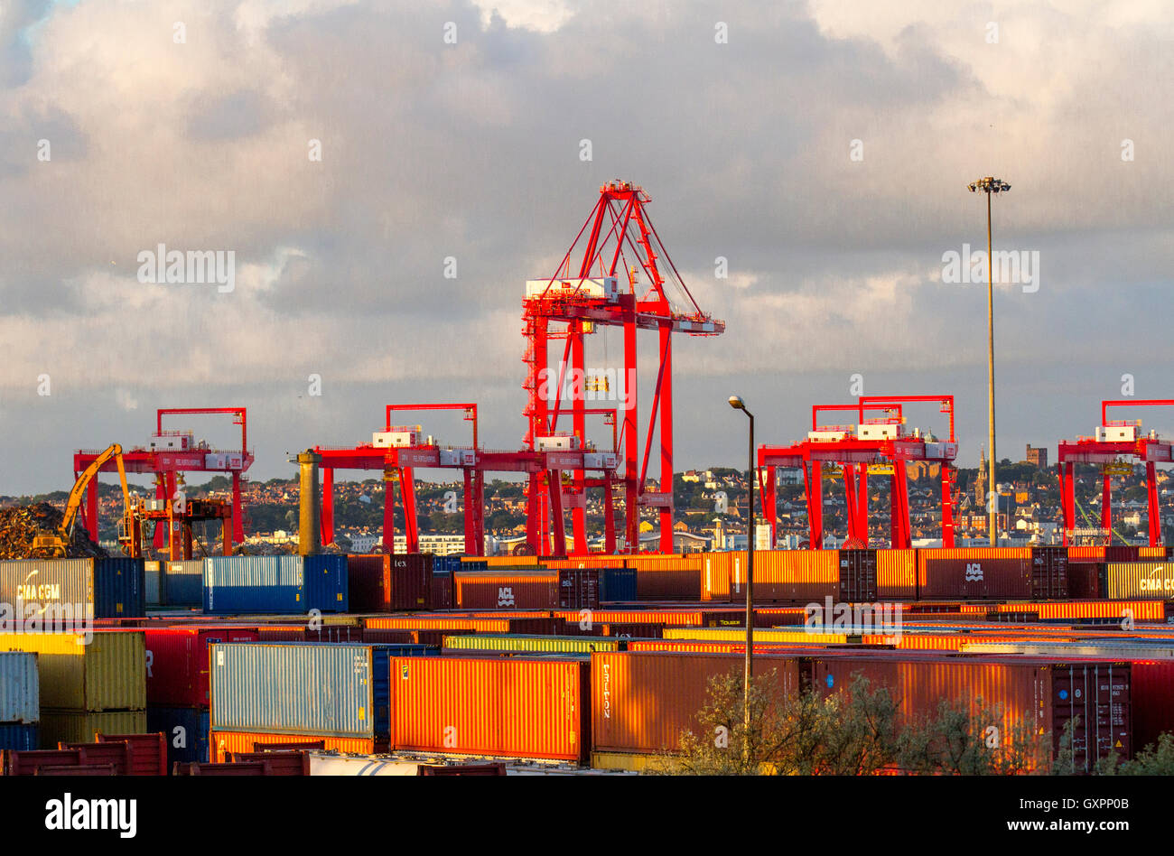 Ship Unloading At Seaforth Docks High Resolution Stock Photography and ...