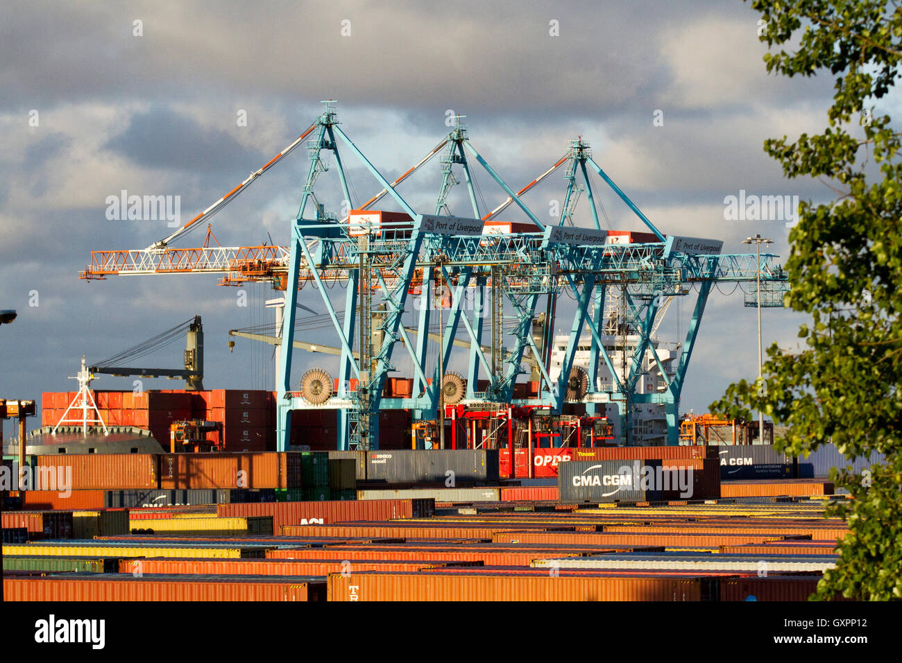 Peel Ports £300m deep water riverside container terminal extension ...