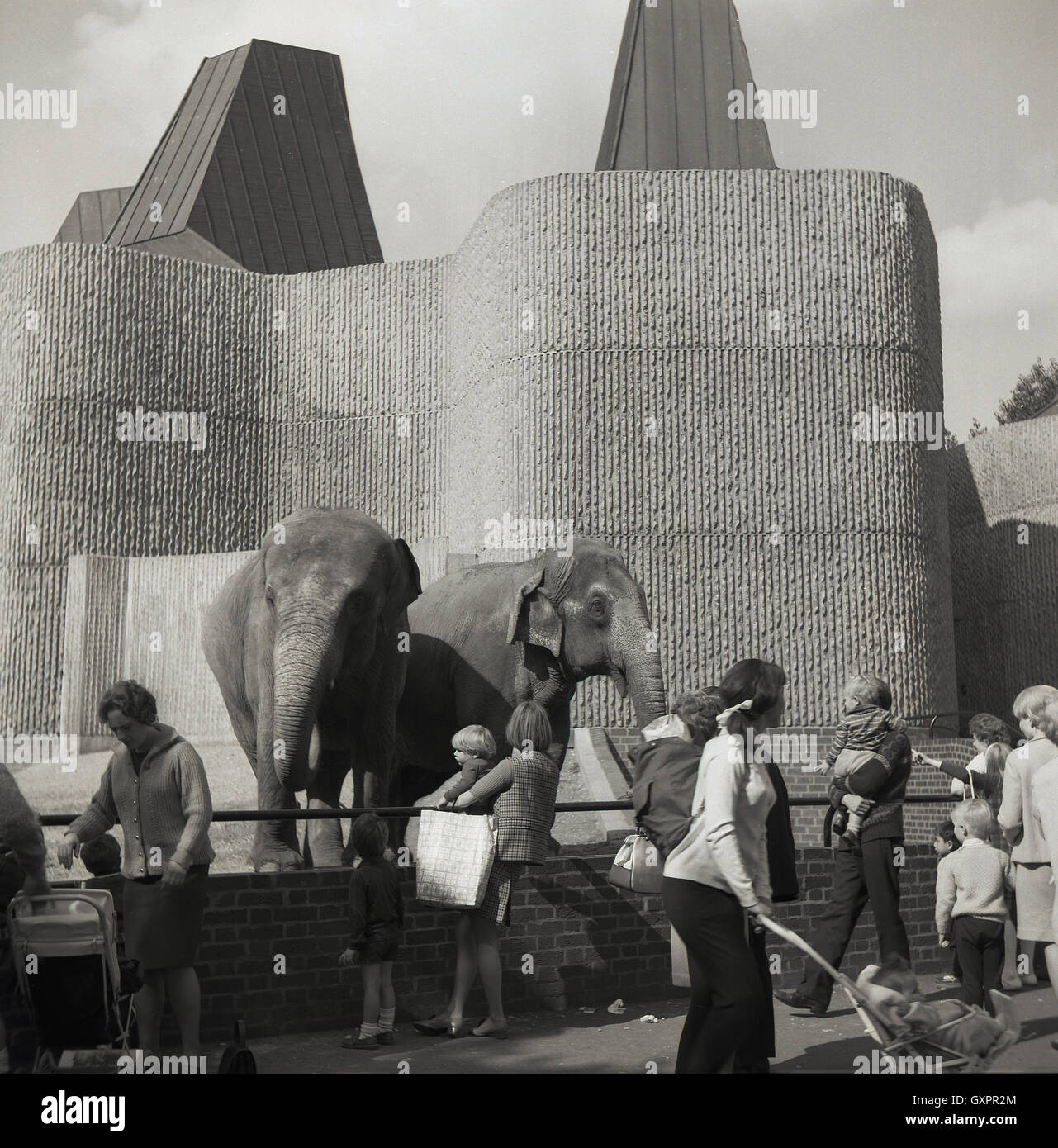 Animals London Zoo Regents Park Stock Photos & Animals London Zoo ...