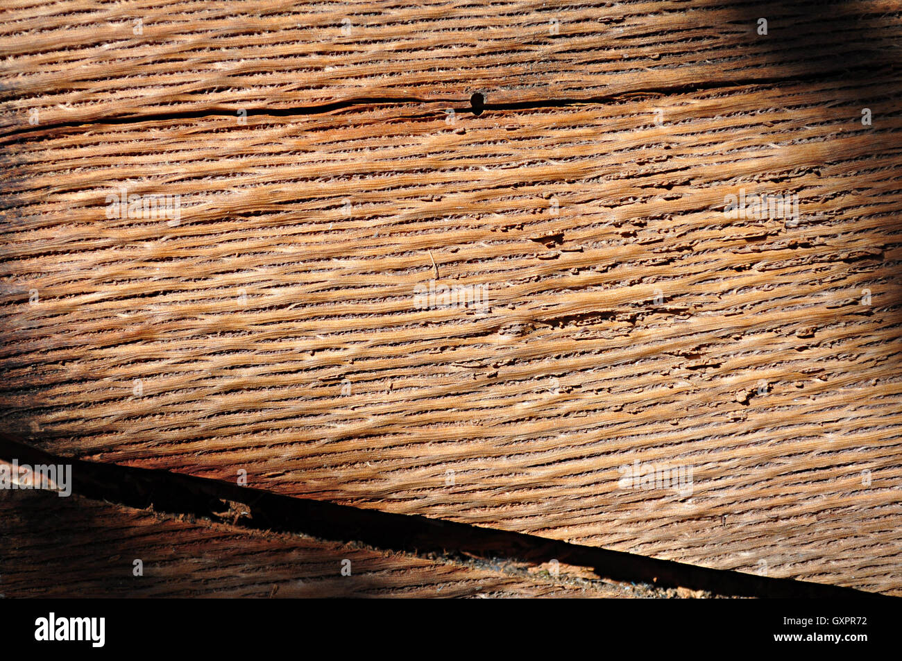 oak texture beneath the crust Stock Photo - Alamy