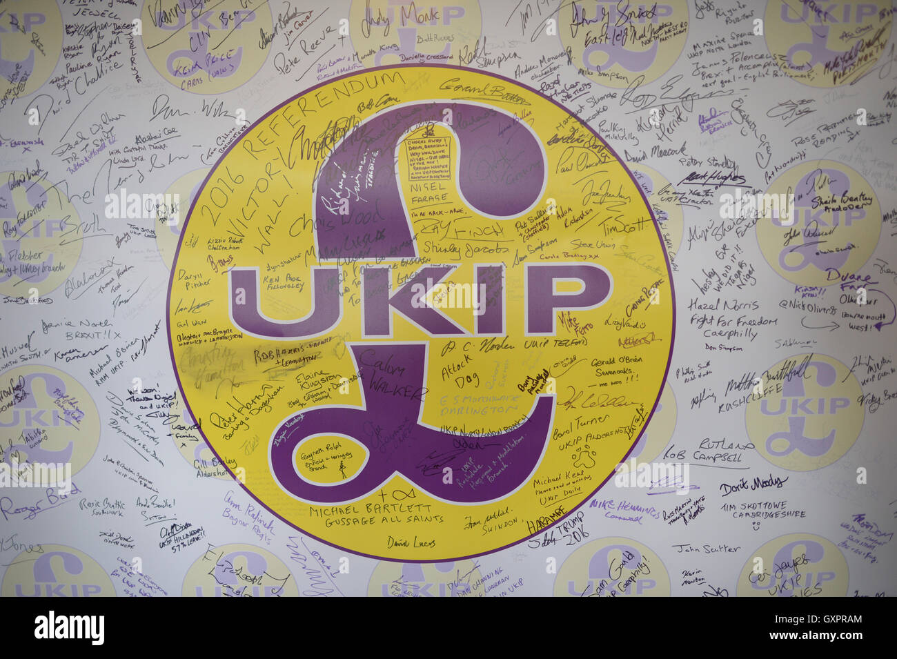 Ukip Logo