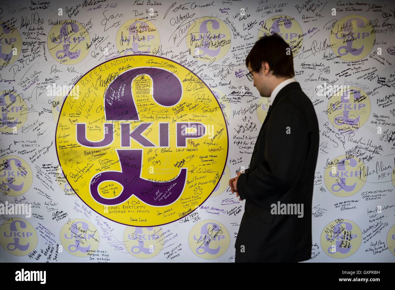 A man looks at a Ukip signature and mood board at the Ukip annual ...