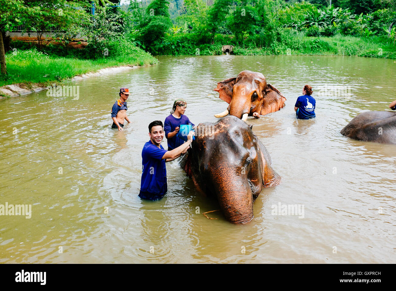 Four seasons elephant camp northern hi-res stock photography and images ...