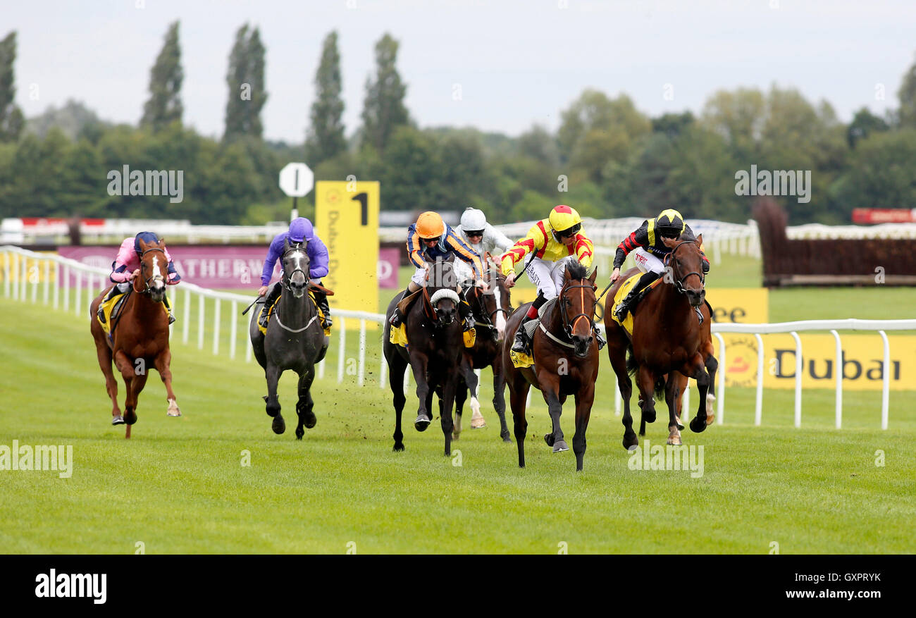 Mill reef horse hi-res stock photography and images - Alamy