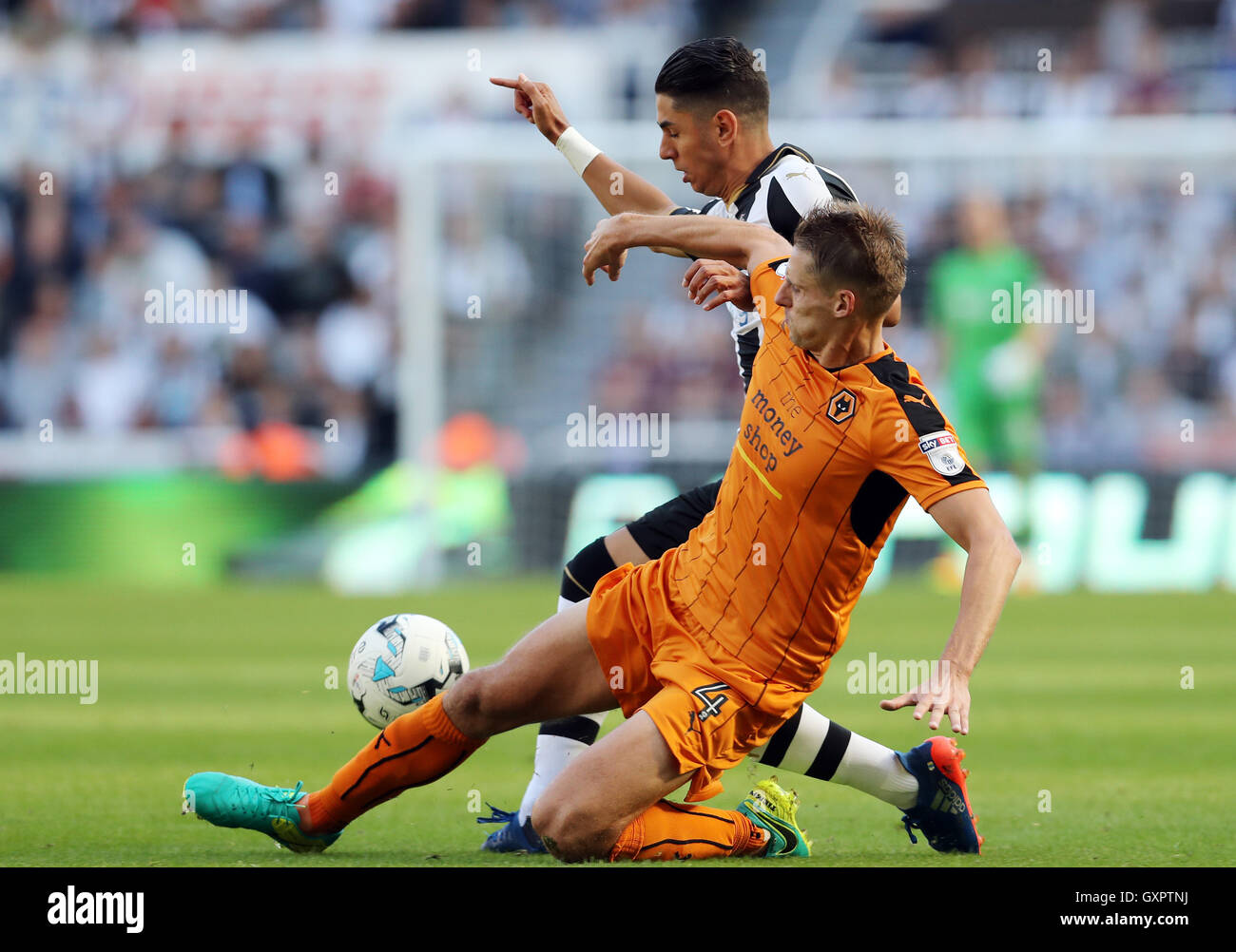 Dave edwards wolves hi-res stock photography and images - Alamy