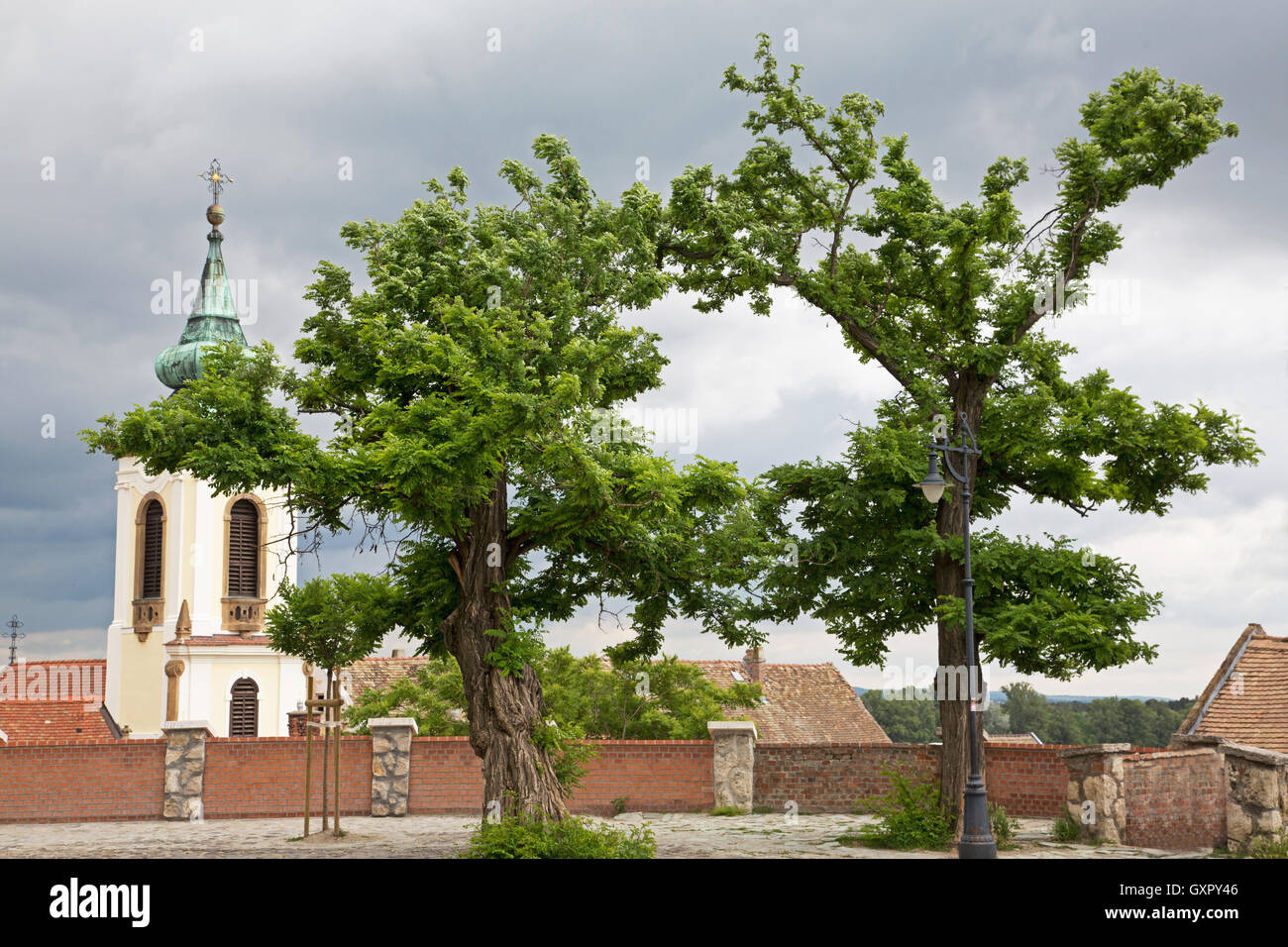 Church and Hungarian oak trees, Szentendre, Hungary Stock Photo - Alamy