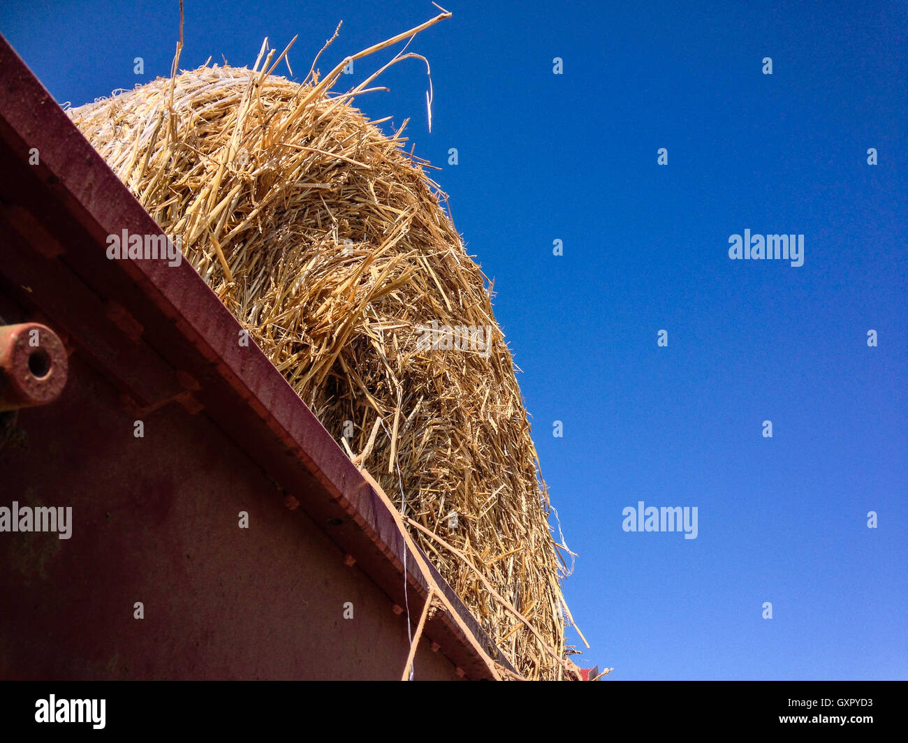 Rolled hay in red metal container and dark blue sky Stock Photo - Alamy