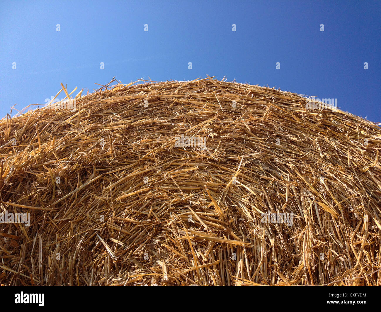 Rolled hay in red metal container and dark blue sky Stock Photo - Alamy