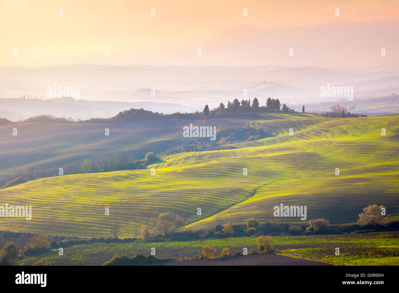 Tuscany landscape at gentle sunrise light. Typical for the region ...
