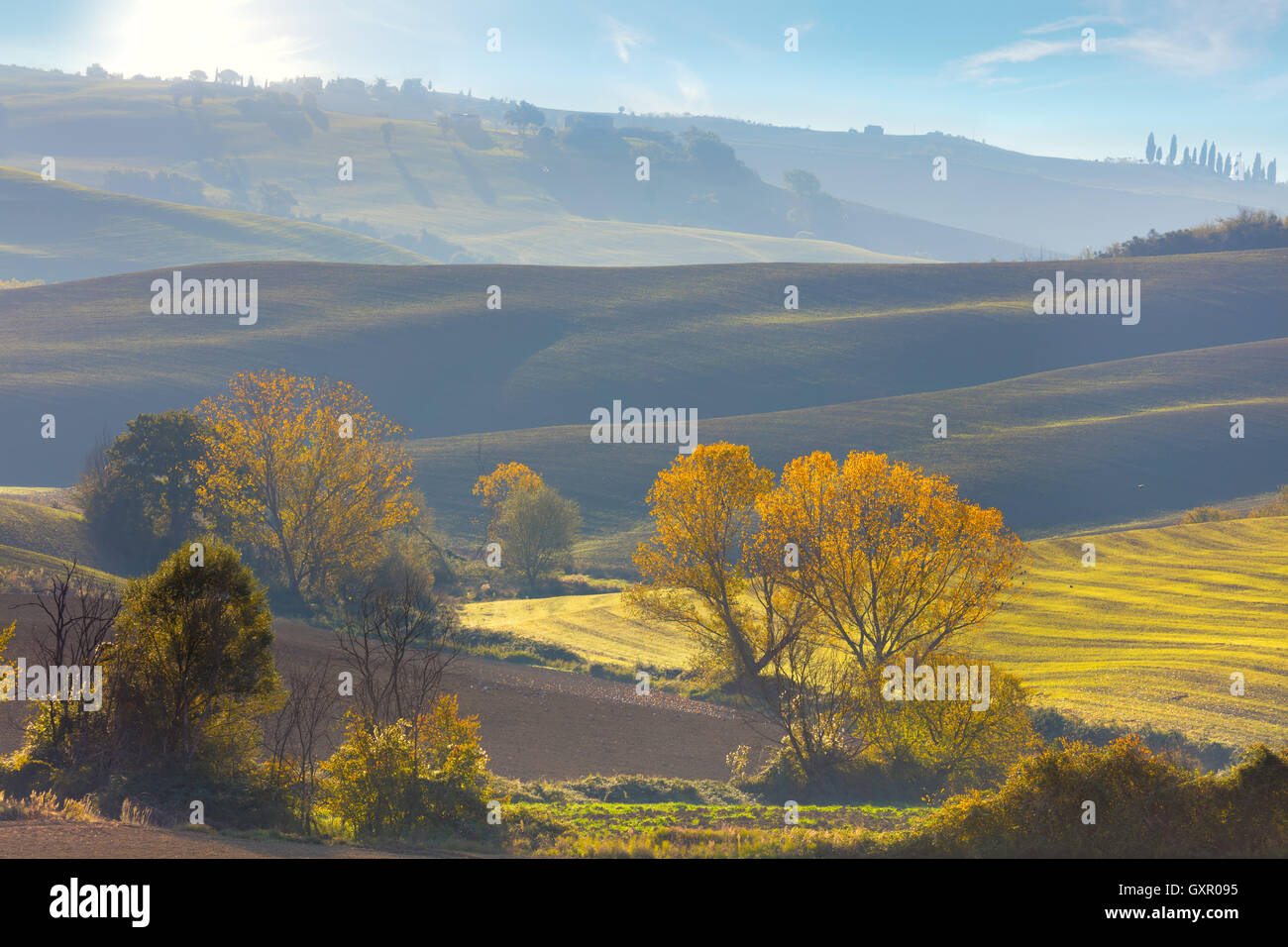 Sunny Autumn landscape - fall season - Golden Trees in Wavy fields at ...