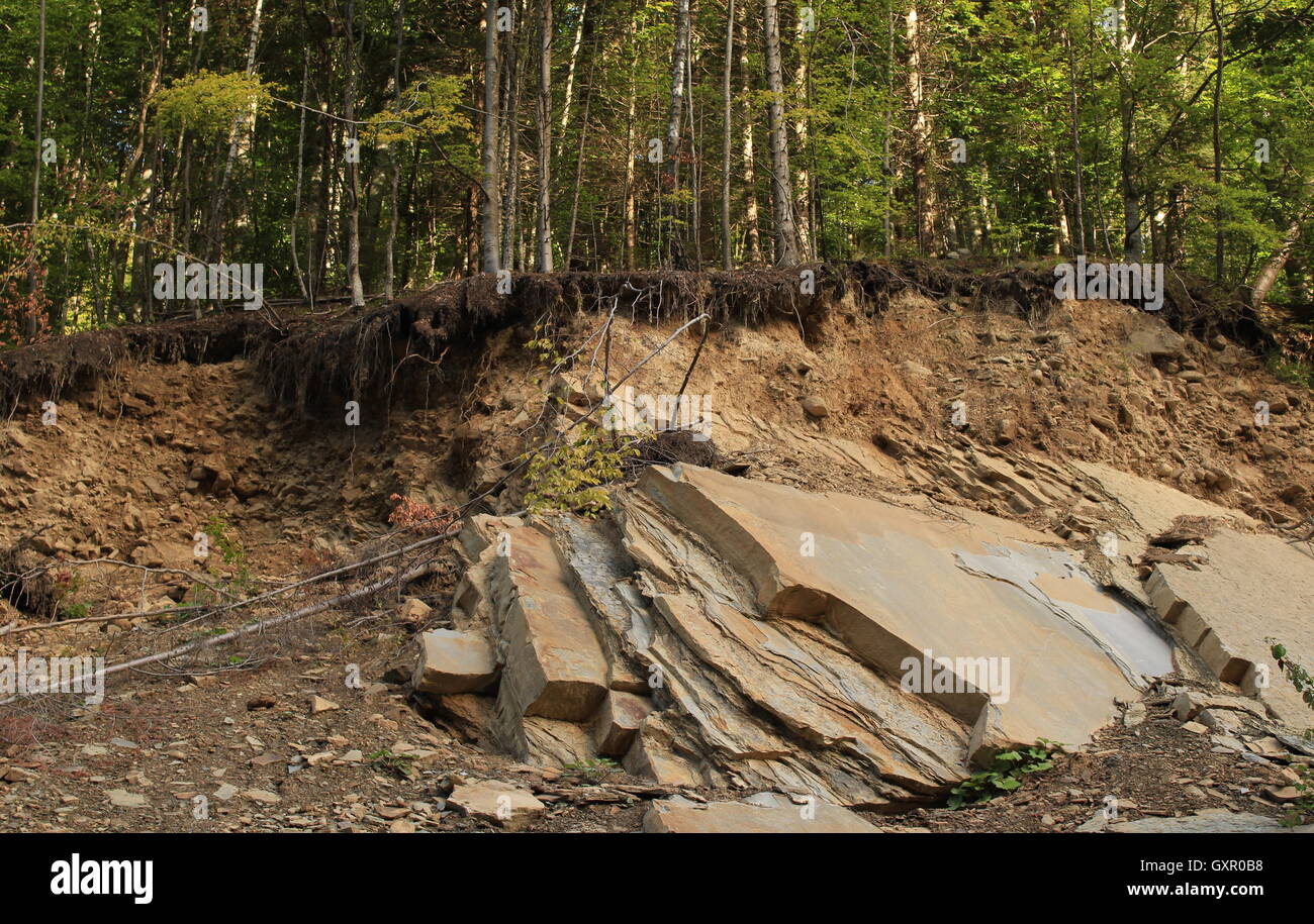 Inclusive view hi-res stock photography and images - Alamy