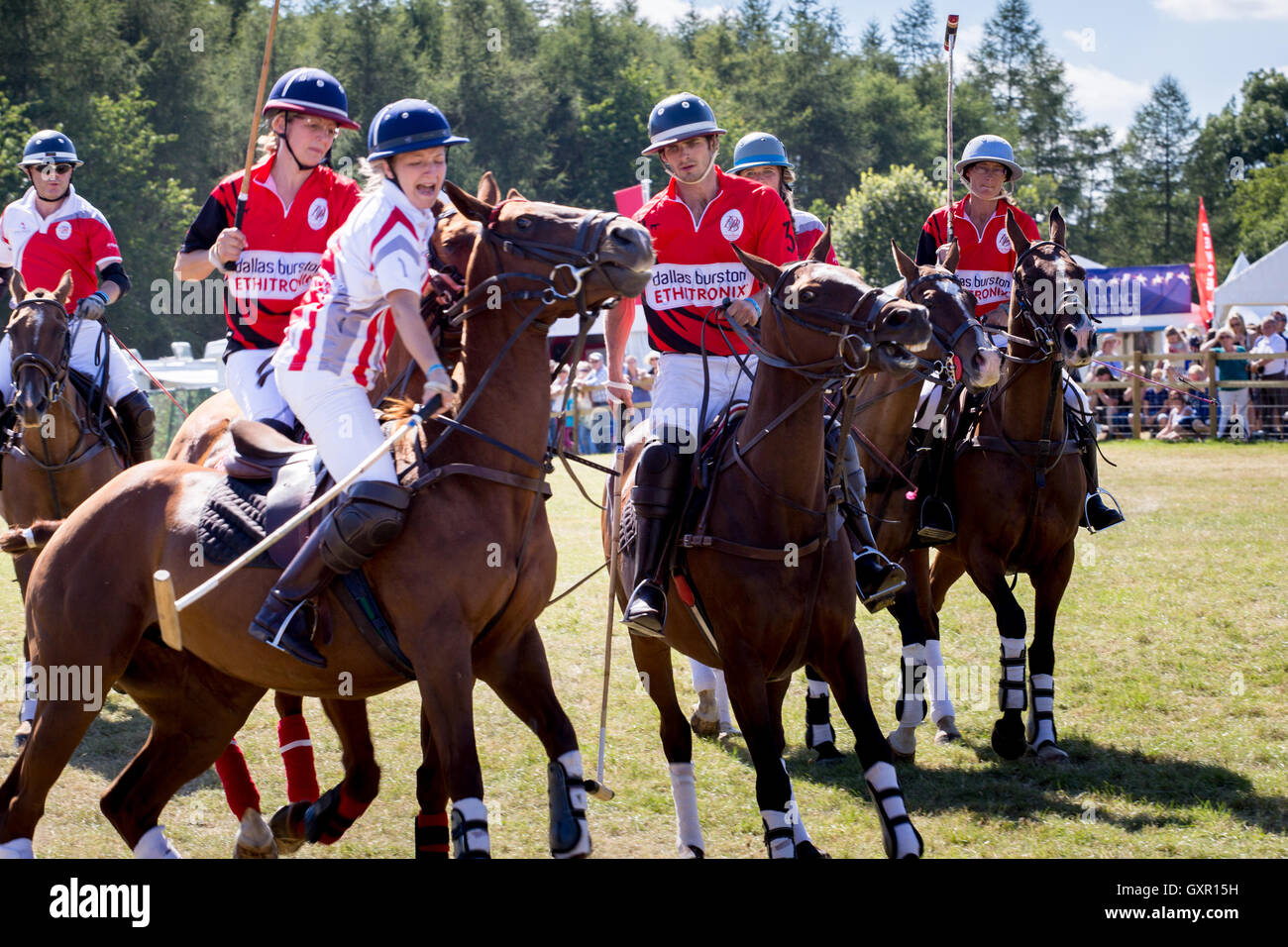 Polo players on horses Stock Photo - Alamy
