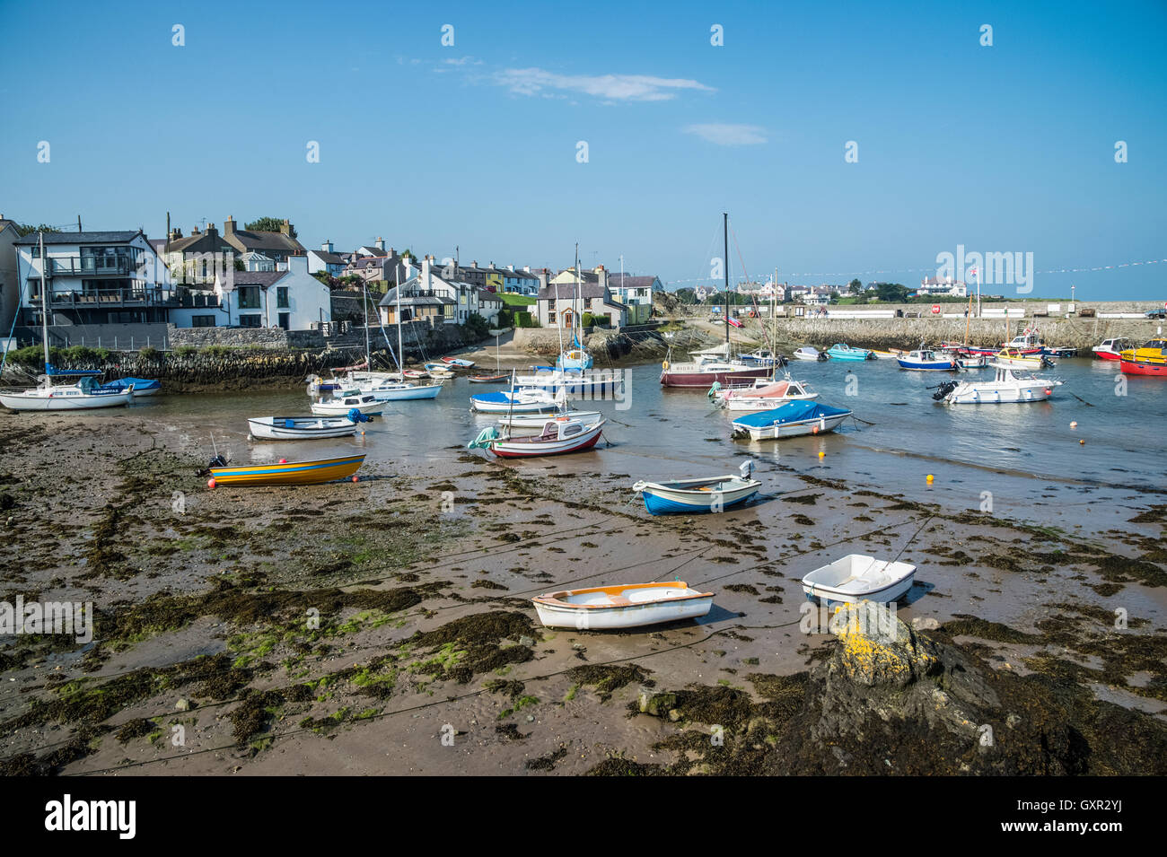 Anglesey, Wales. Pleasure boats at Cemaes bay harbour Stock Photo - Alamy