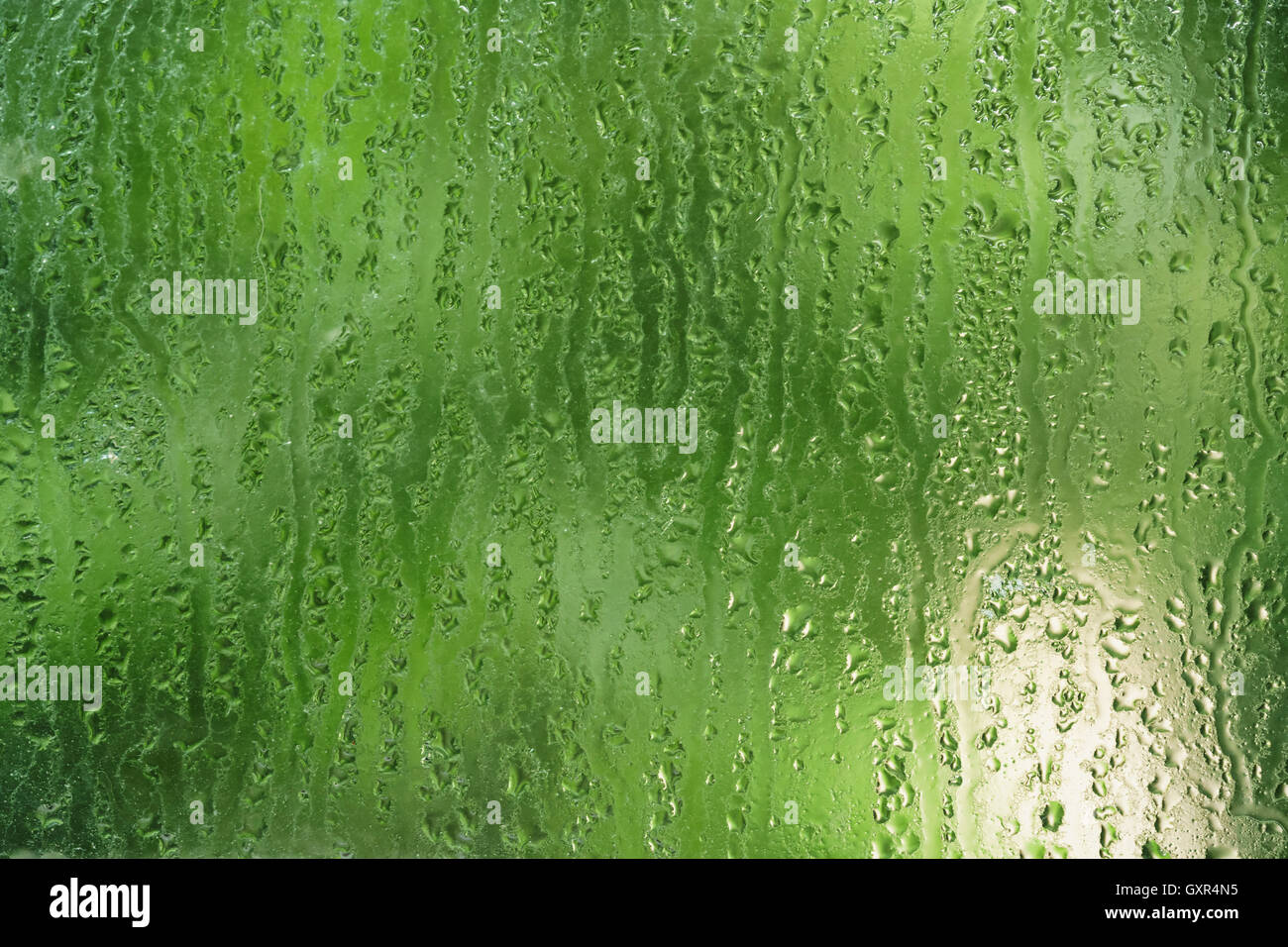 water condensate on window glass Stock Photo - Alamy