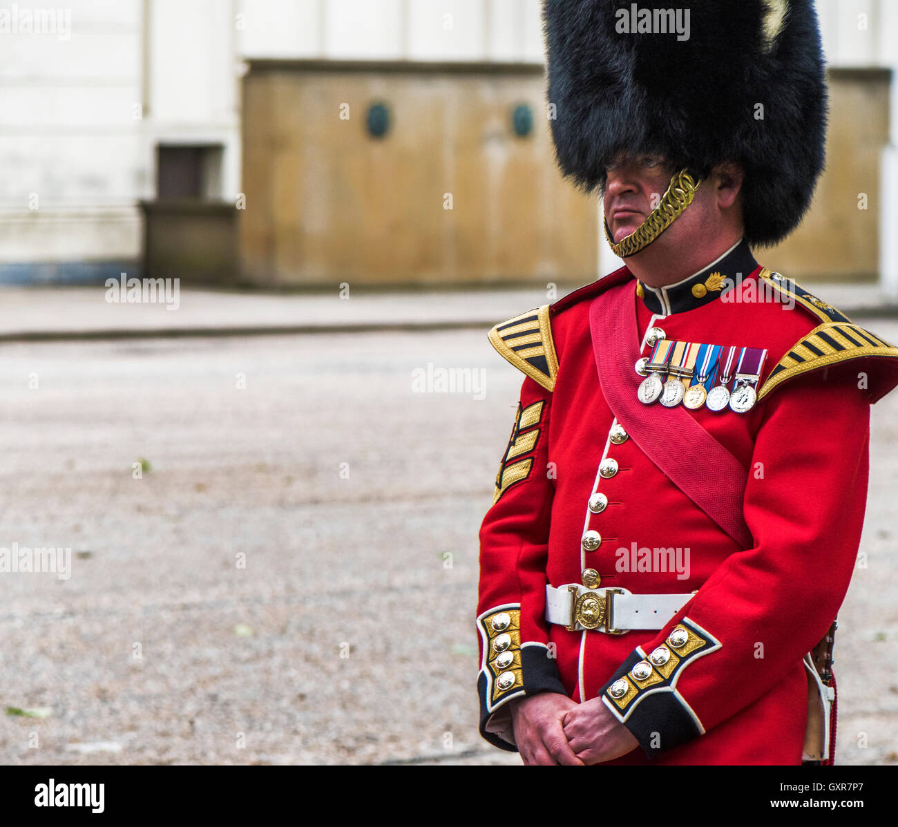 Royal guard in Whitehall Stock Photo - Alamy