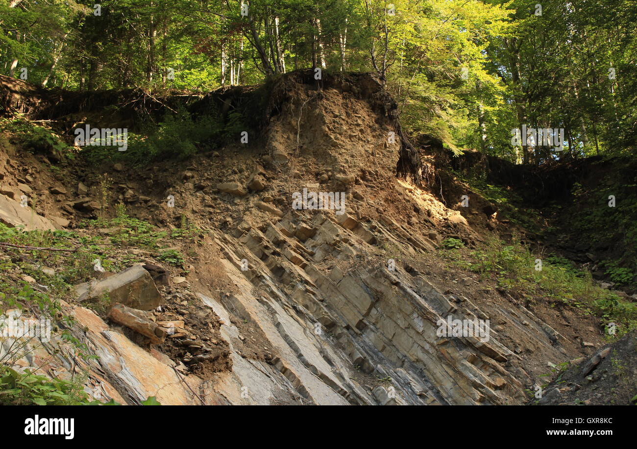 big rock and forest Stock Photo - Alamy