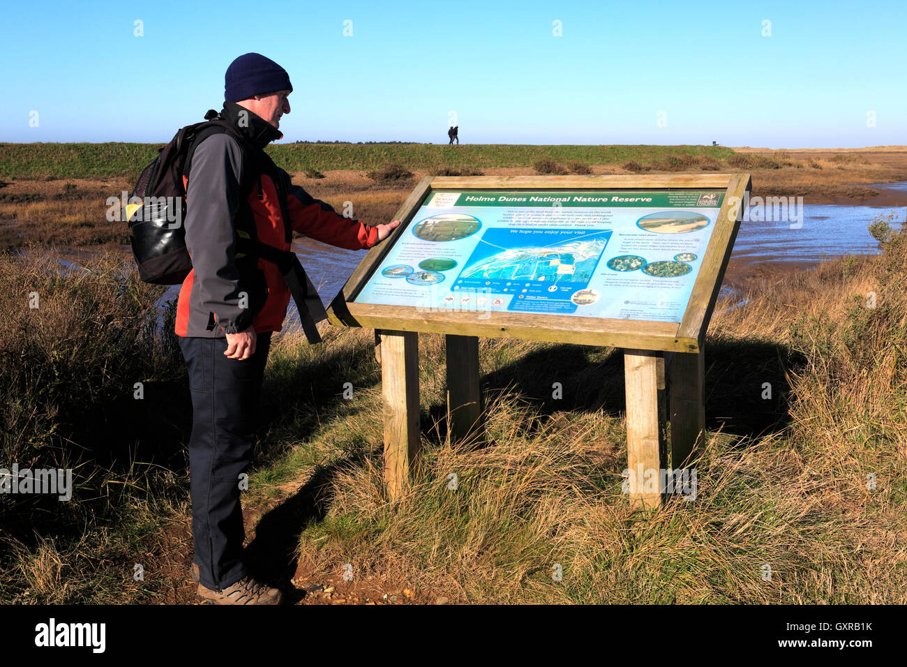 Walker at Holme Dunes national nature reserve, Holme village, North ...