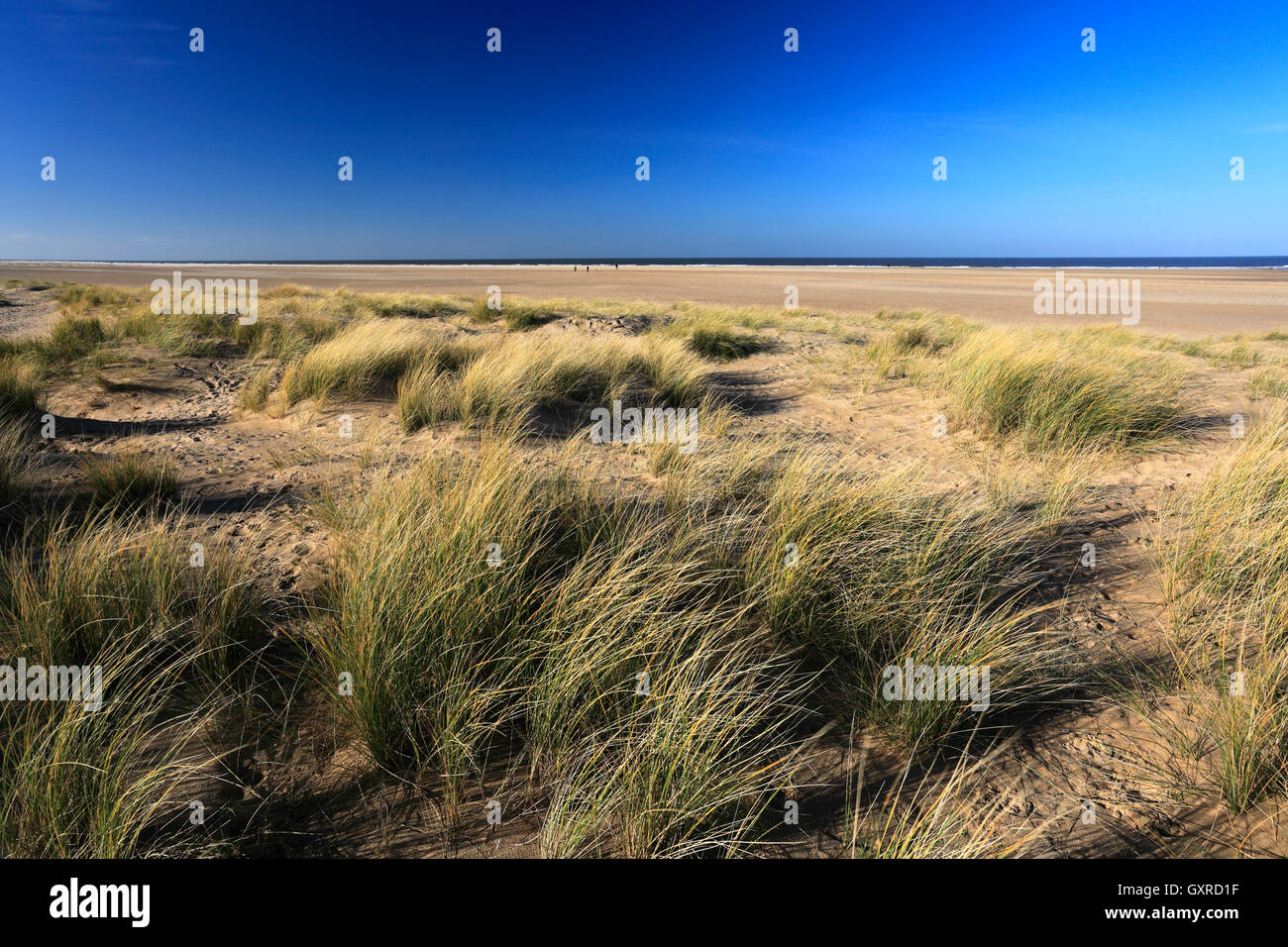 Sand Dunes on Holkham Bay Beach, National Nature Reserve, Holkham ...