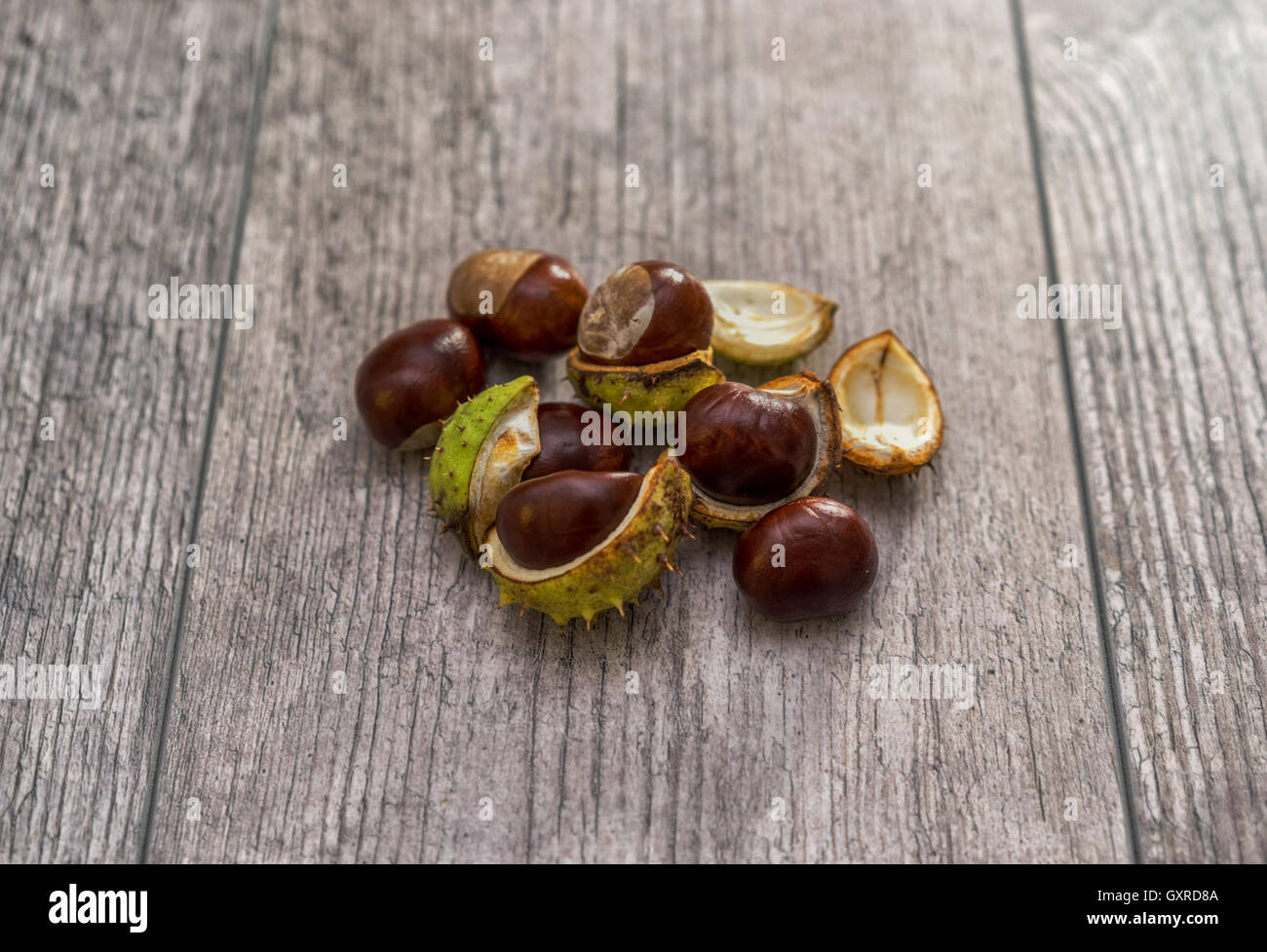 Autumn Chestnuts in shells Stock Photo - Alamy