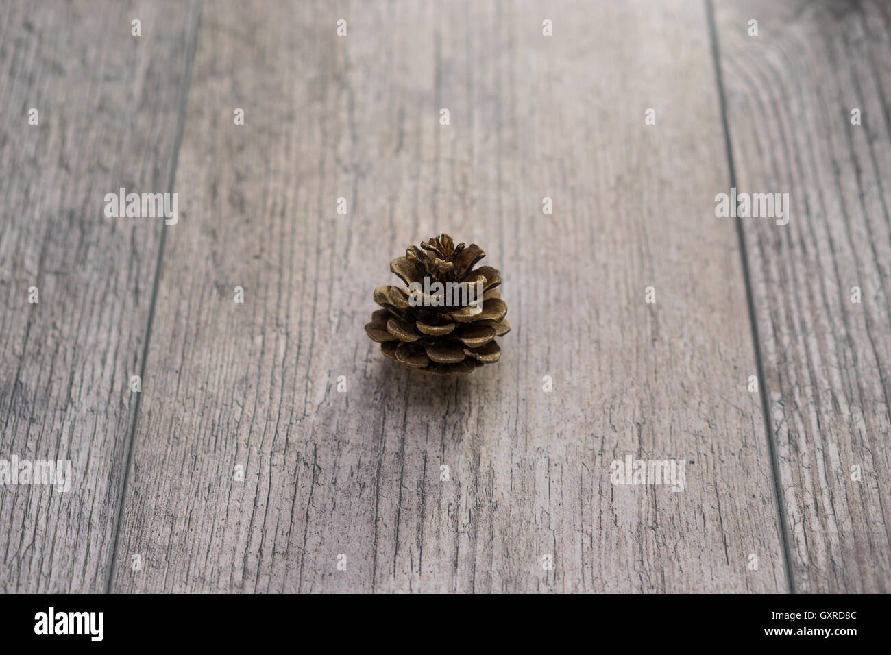 Single cedar hi-res stock photography and images - Alamy