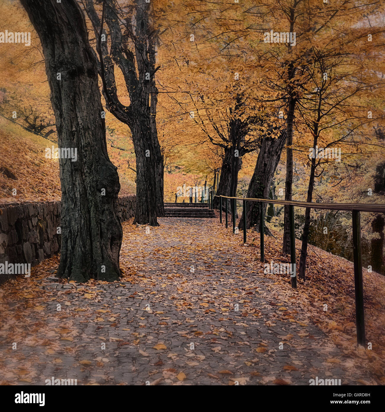Way to Autumn Stock Photo - Alamy