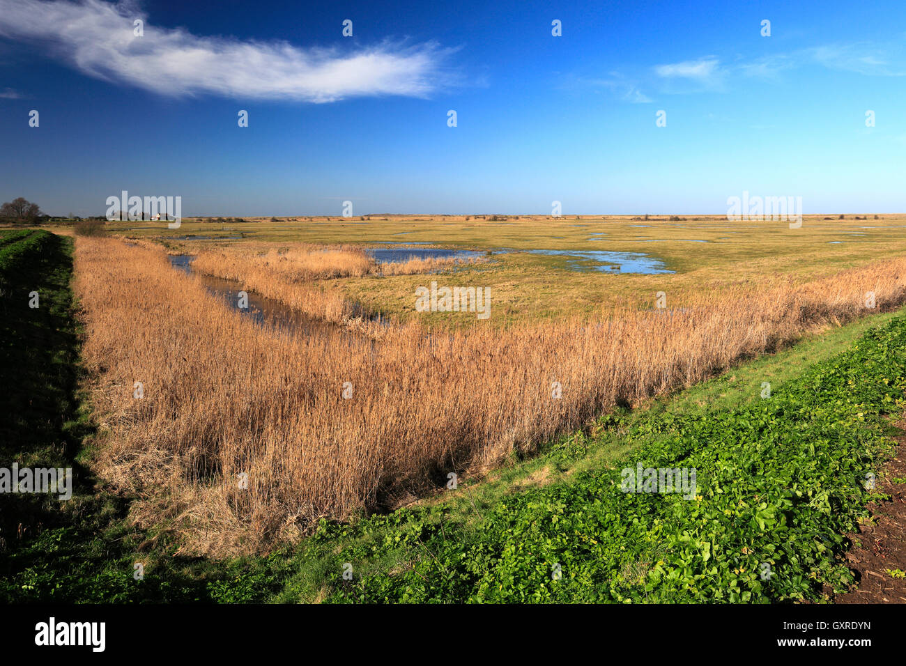 Norfolk england uk salt marshes norfolk salt marshes north norfolk hi ...