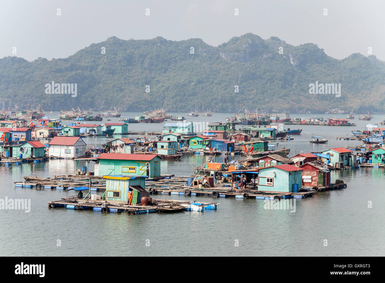 Floating village in Halong Bay, Vietnam Stock Photo - Alamy