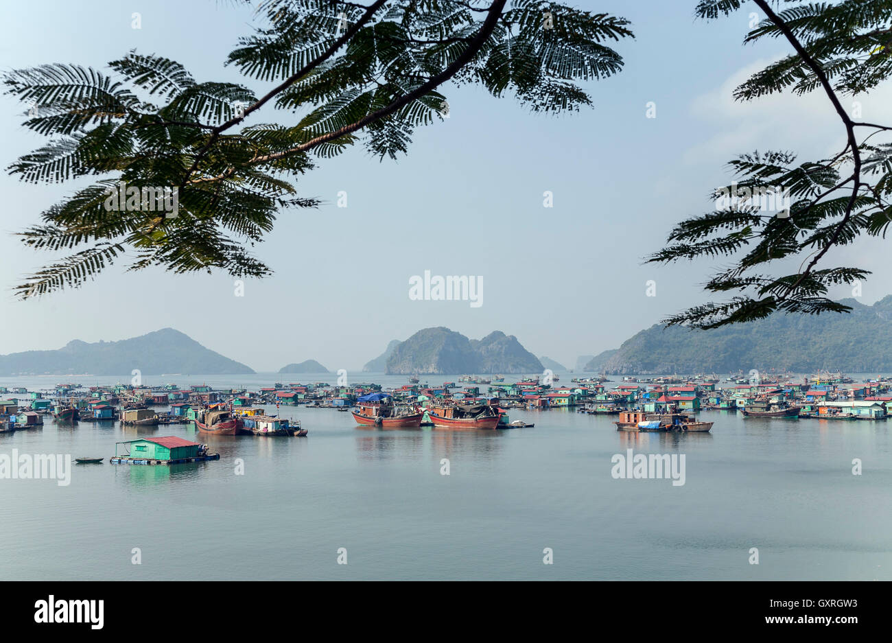 Floating village in Halong Bay, Vietnam Stock Photo - Alamy