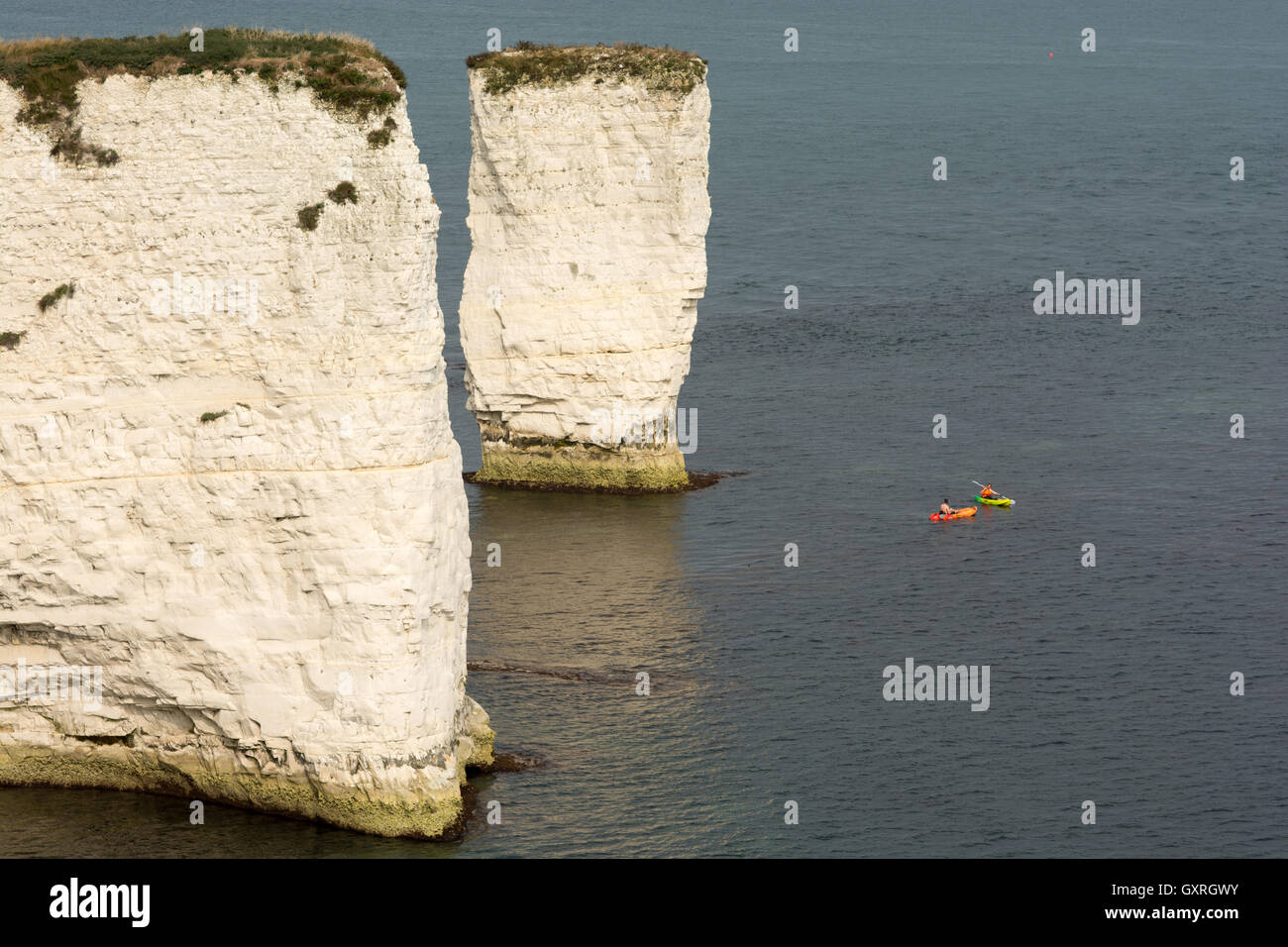 Canoing past chalky white cliffs at Old Harry Rocks on the coast of ...