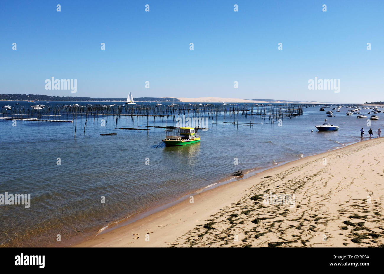 Beautiful beach at Cap Ferret in Arcachon Bay on Atlantic coast of ...