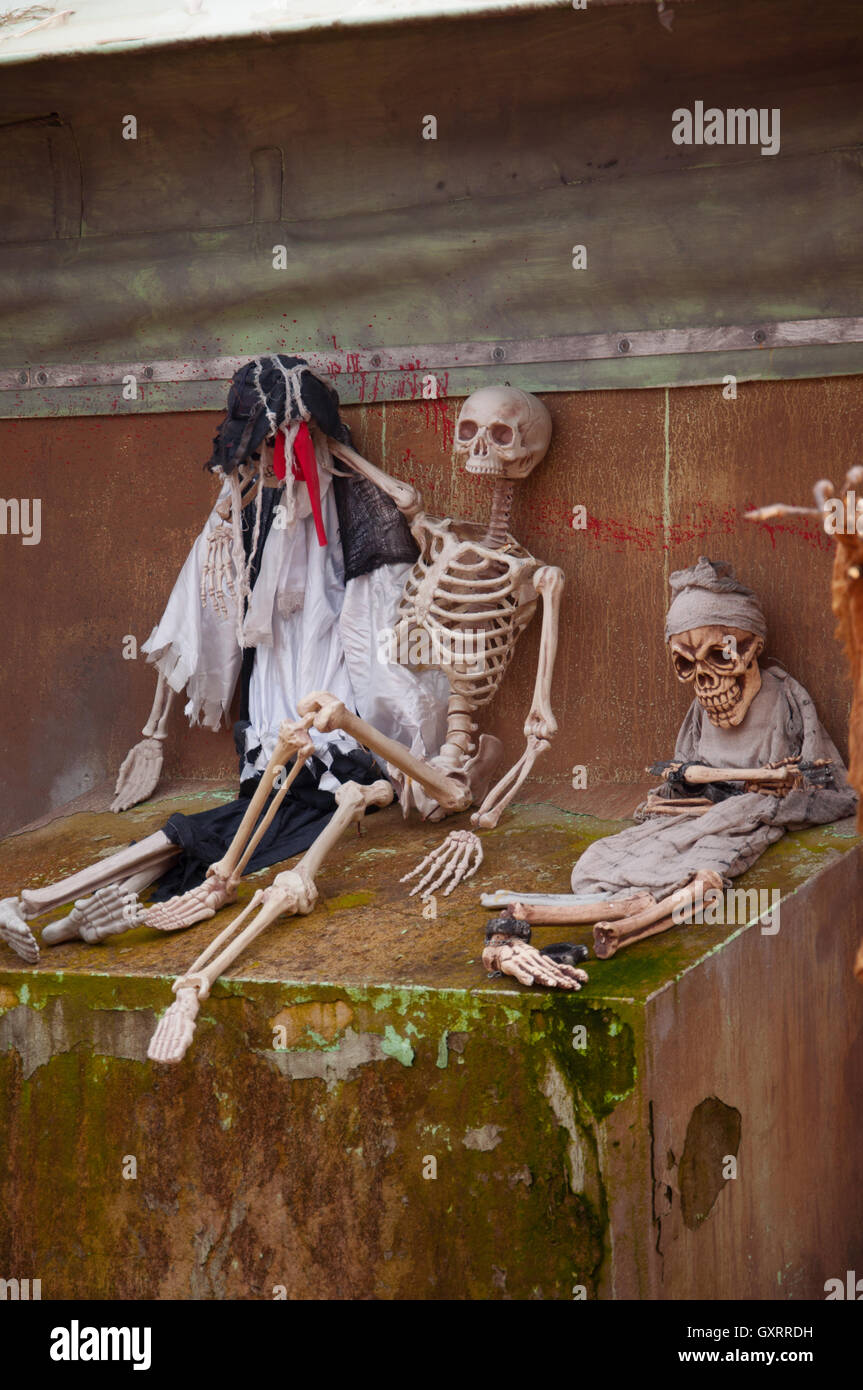 Cool skeleton hi-res stock photography and images - Alamy