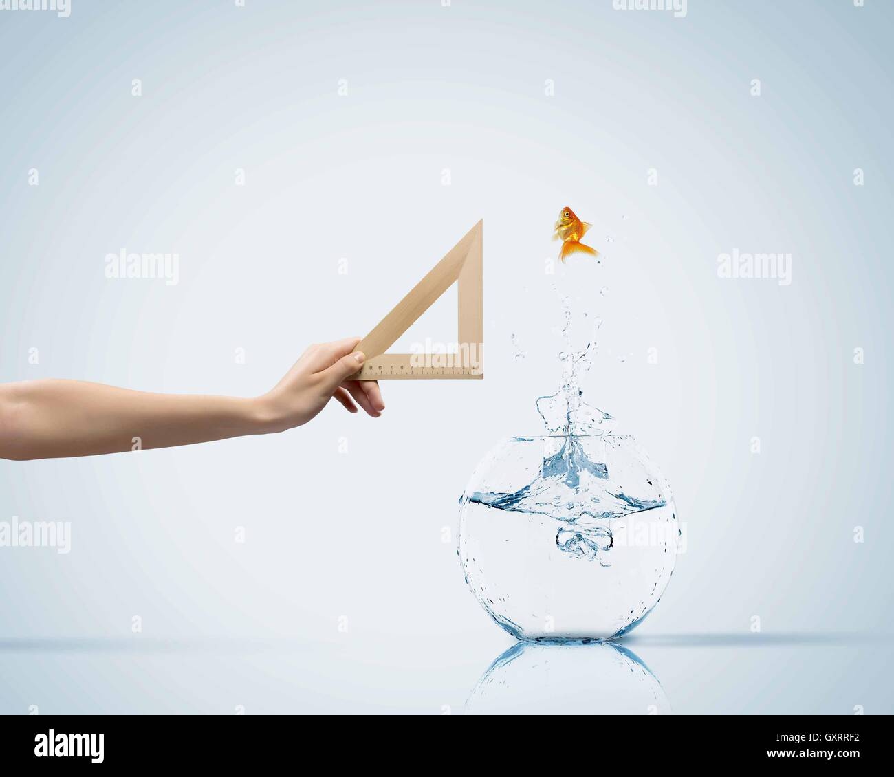 Fish bowl concept hi-res stock photography and images - Alamy