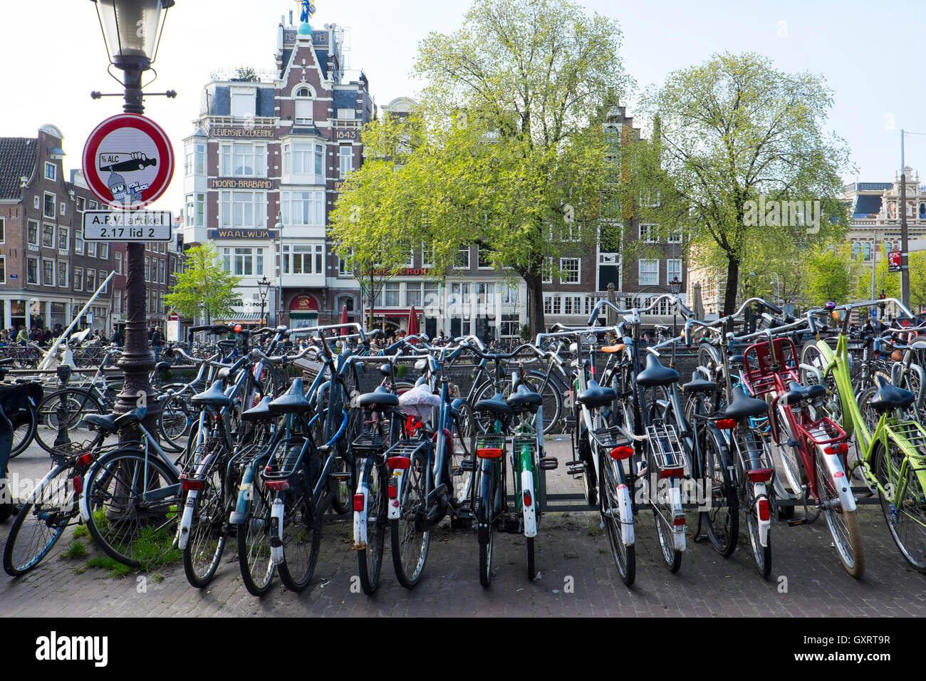 Racks of bicycles in Spring, Amsterdam, Holland Stock Photo - Alamy
