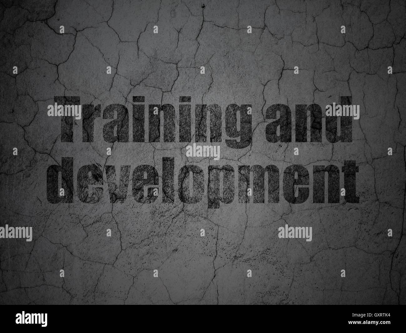 Education concept: Training and Development on grunge wall background ...