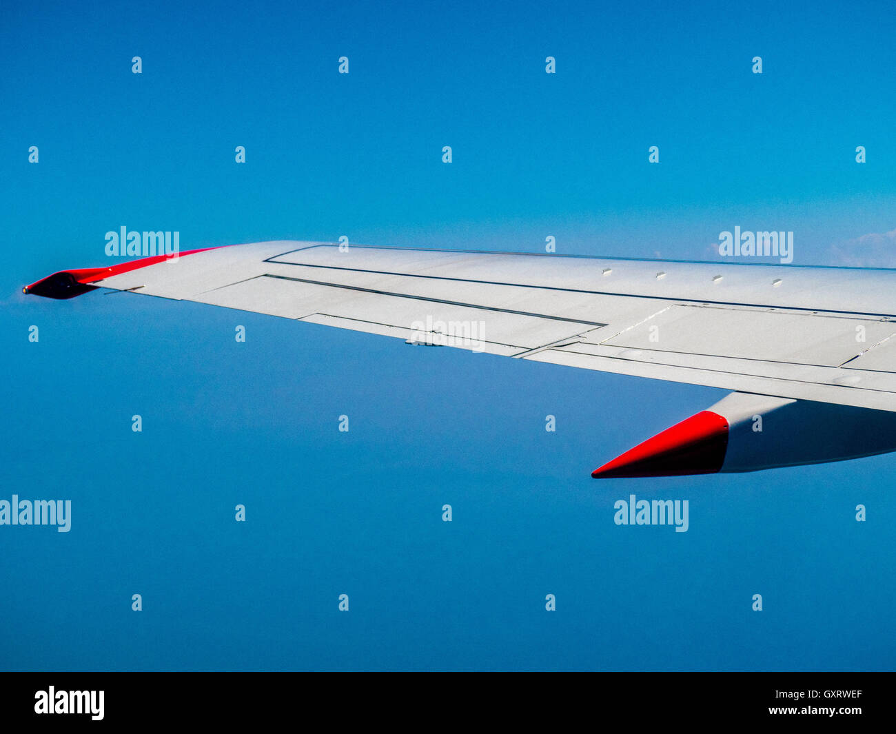 Clear wing hi-res stock photography and images - Alamy