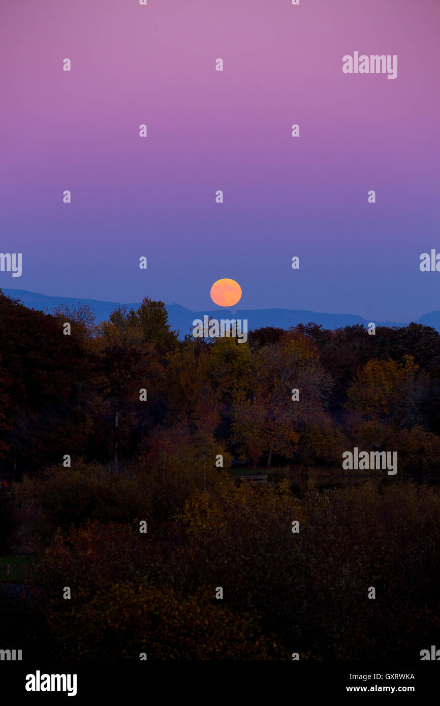 Moonrise in the Fall Stock Photo - Alamy