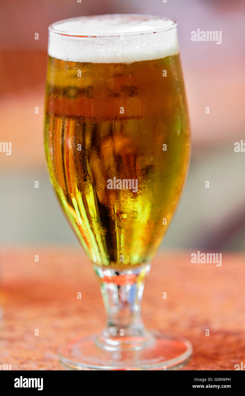 Gold bier hi-res stock photography and images - Alamy