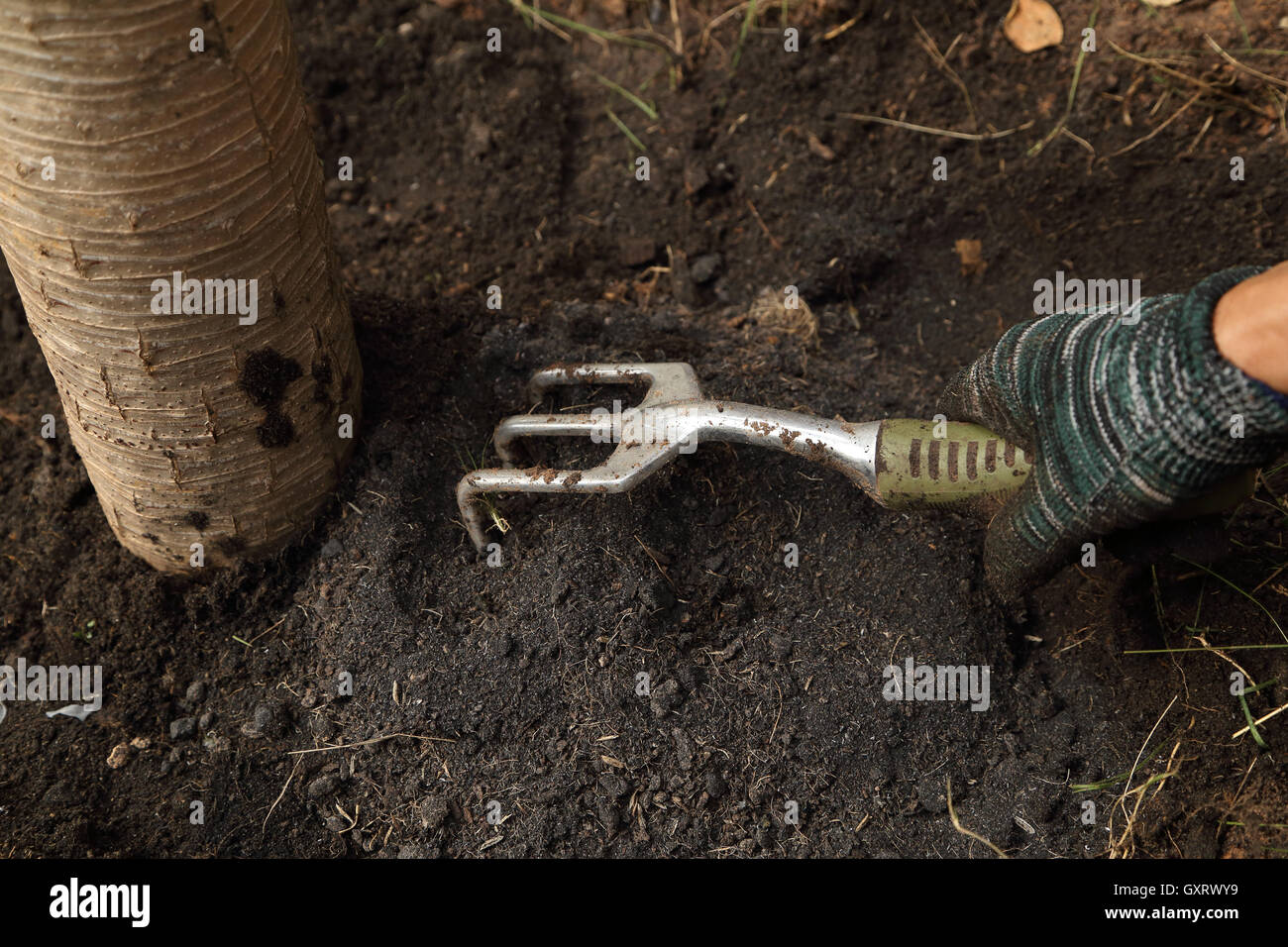 hand with small gardening fork working in the garden Stock Photo - Alamy