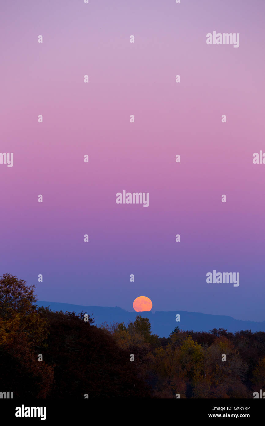 Beautiful moonrise hi-res stock photography and images - Alamy