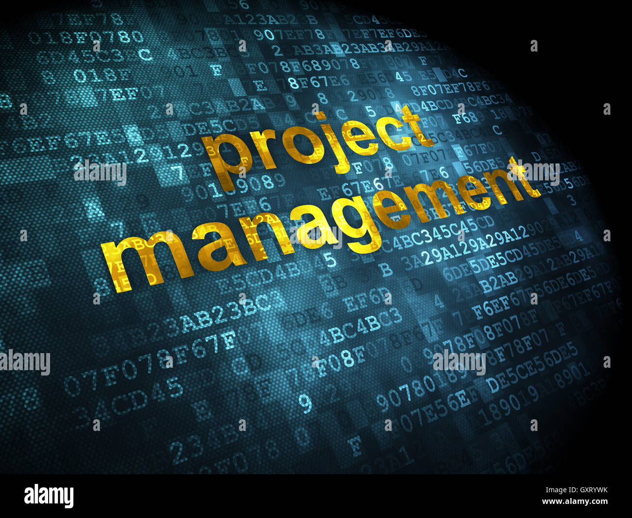 Finance concept: Project Management on digital background Stock Photo ...